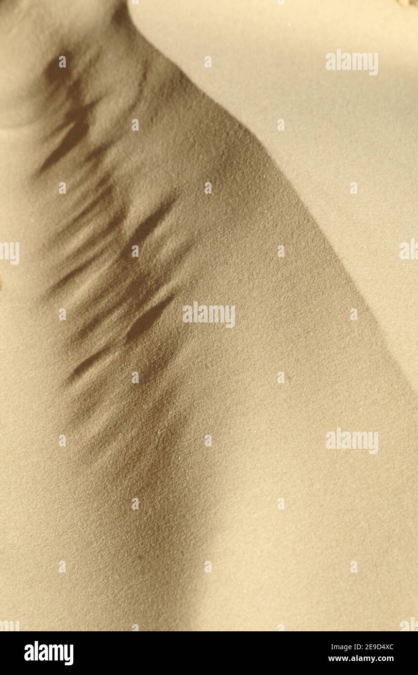 Vertical closeup of the sand dunes Stock Photo - Alamy