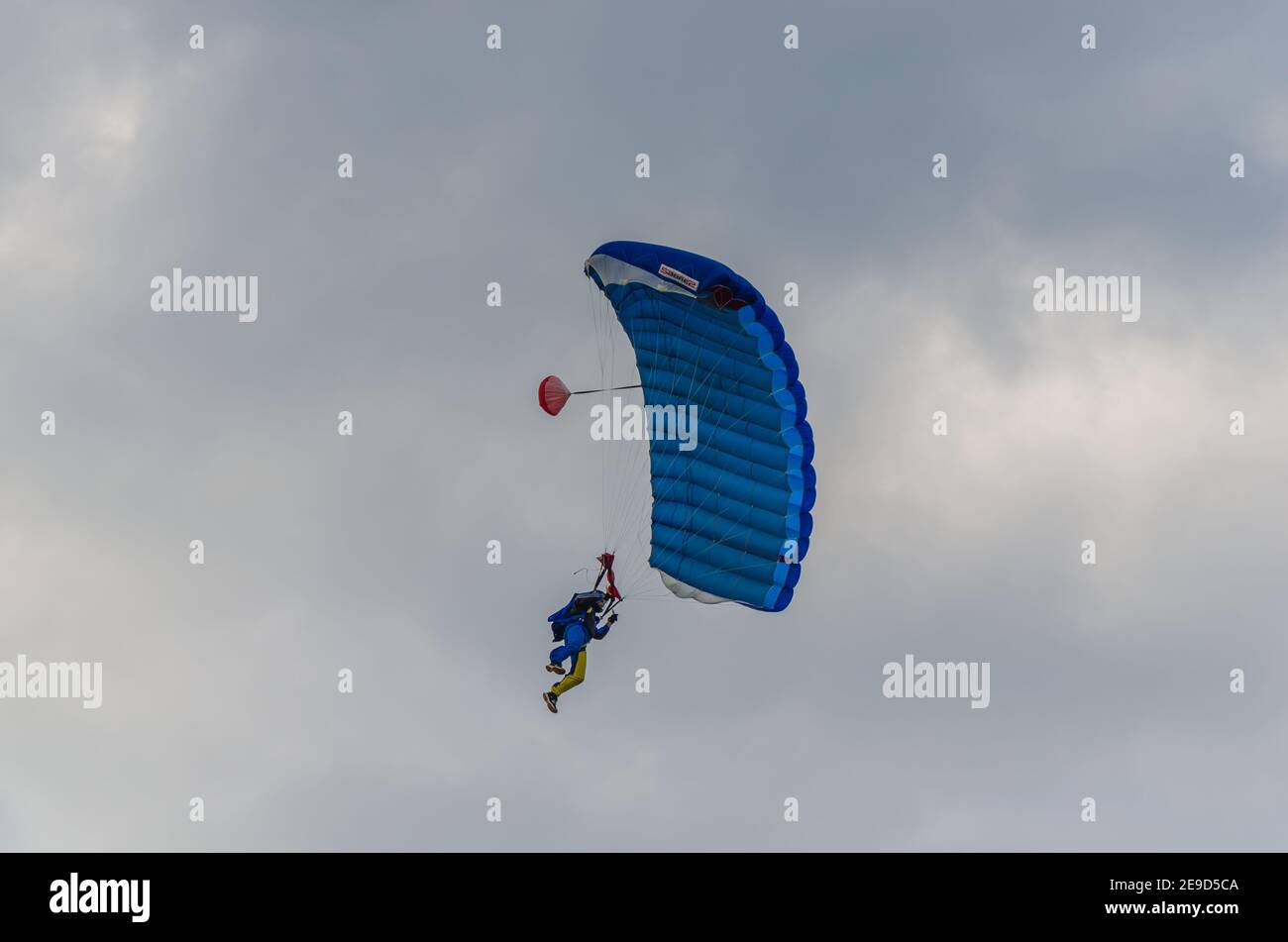 blue parachute jumpers in the sky Stock Photo - Alamy