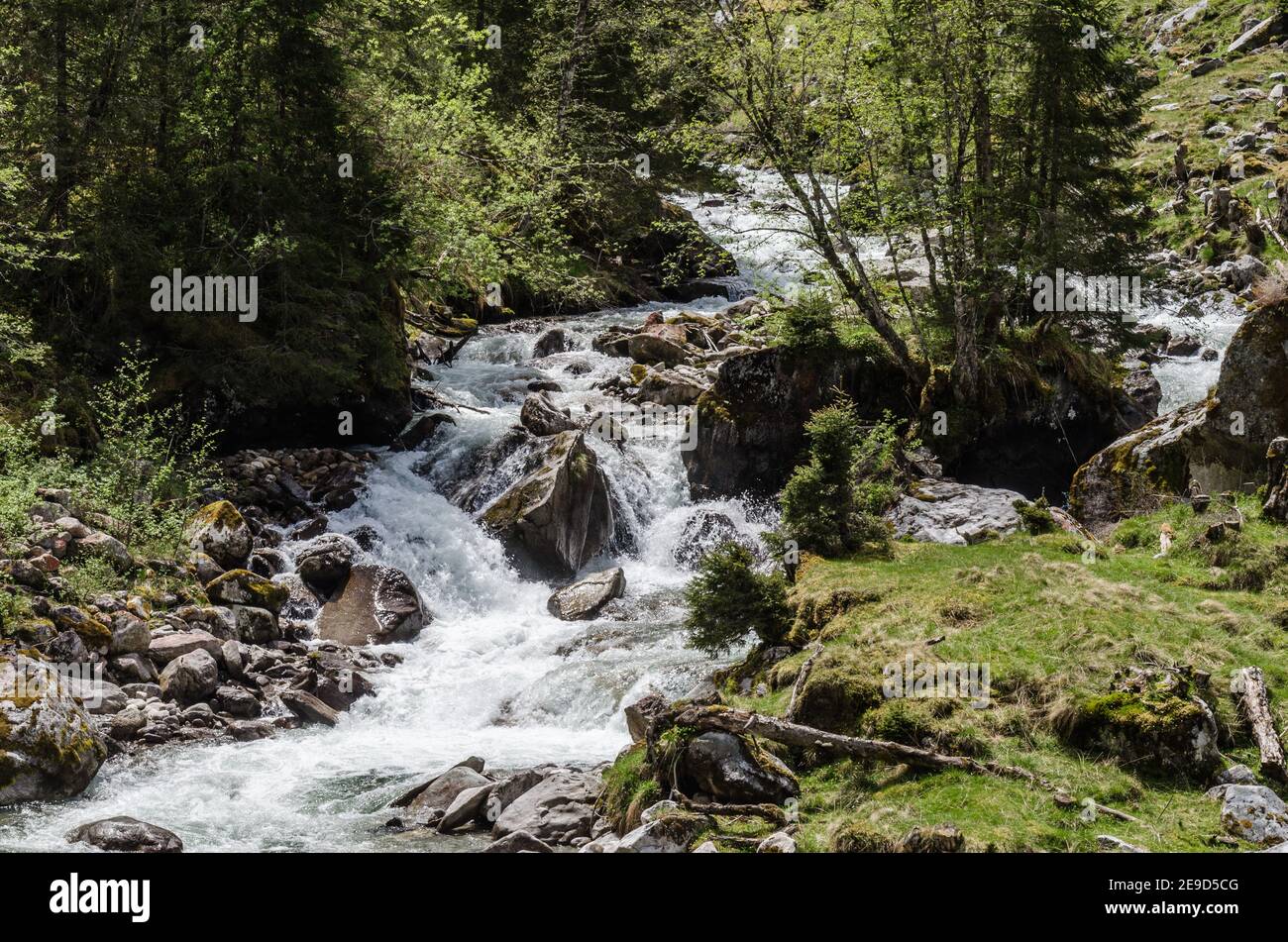small wild stream in the mountains Stock Photo - Alamy