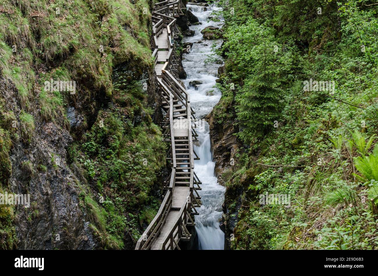 ravine with water and many stairs in the nature Stock Photo - Alamy