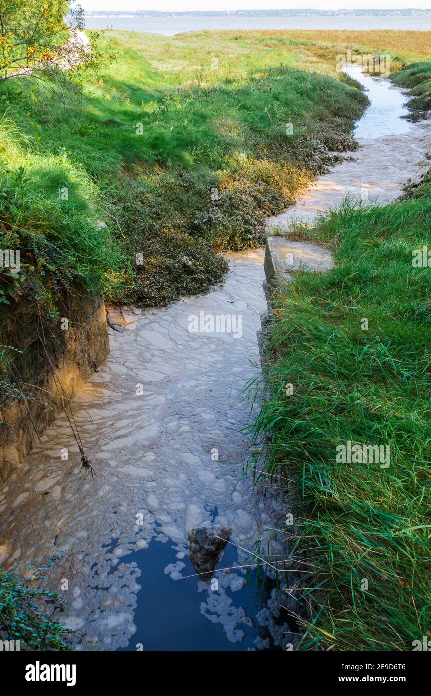 Water pollution is evident in the outflow of water from a sewage sluice ...