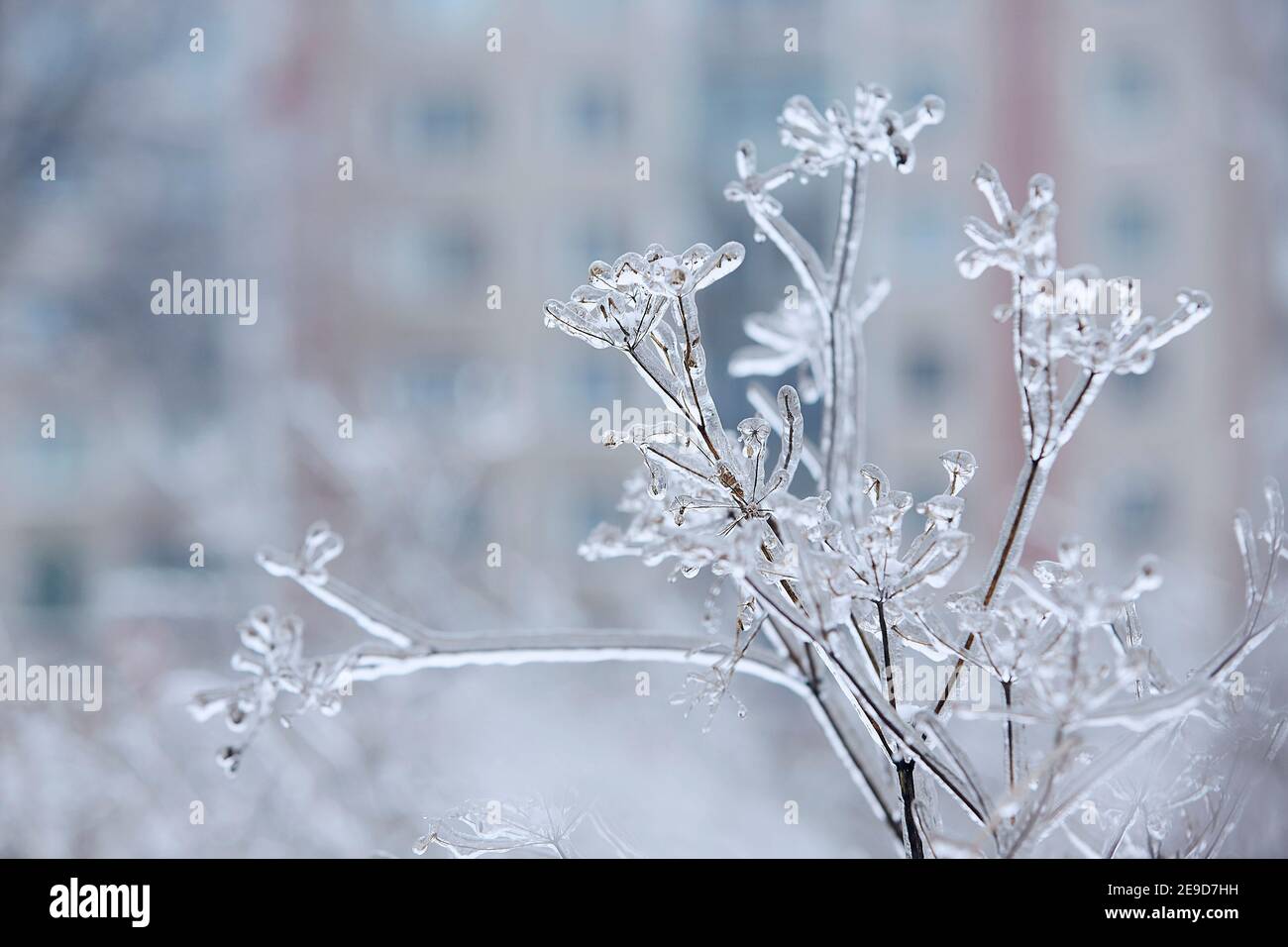 Frozen raindrop hi-res stock photography and images - Alamy