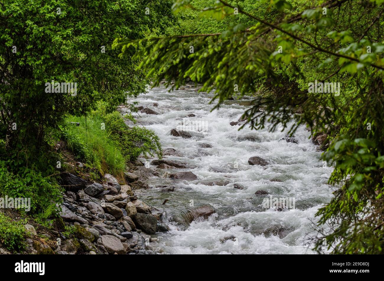 Rushing stream forest sun hi-res stock photography and images - Alamy