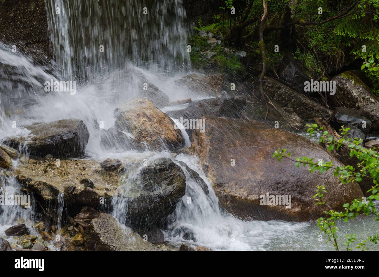 Beautiful brook in mountains wild hi-res stock photography and images ...