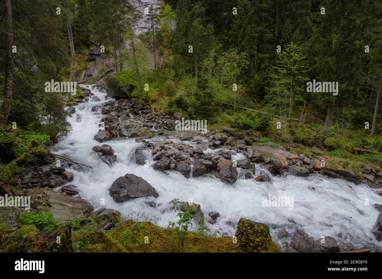 beautiful pure wild brook in green nature landscape Stock Photo - Alamy