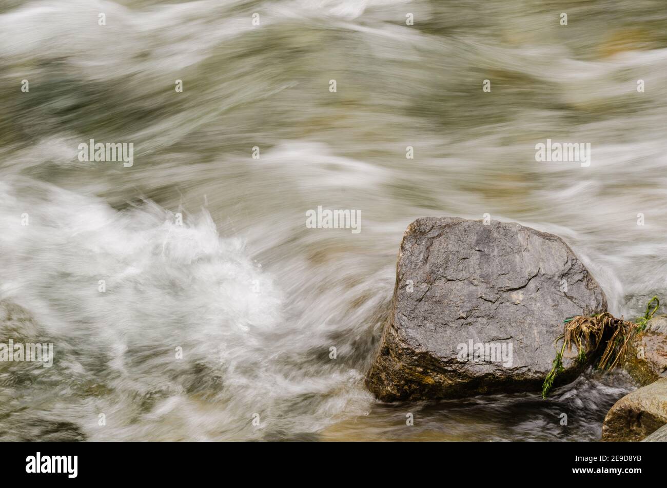 single rock in the wild brook Stock Photo - Alamy
