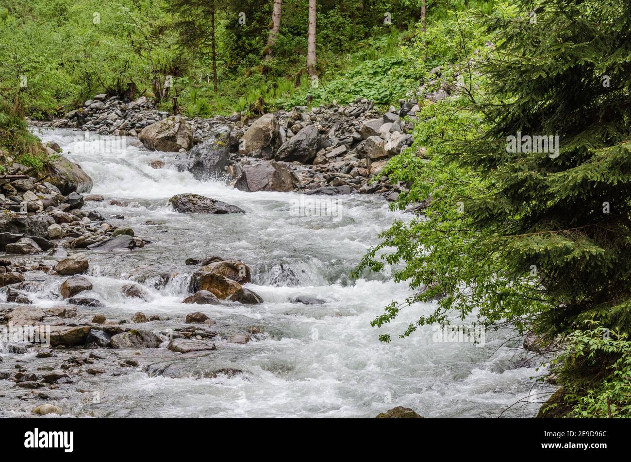 Pure wild hi-res stock photography and images - Alamy