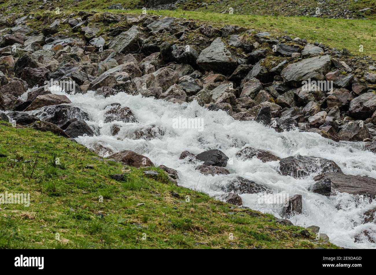 wild water with rocks in green nature Stock Photo - Alamy