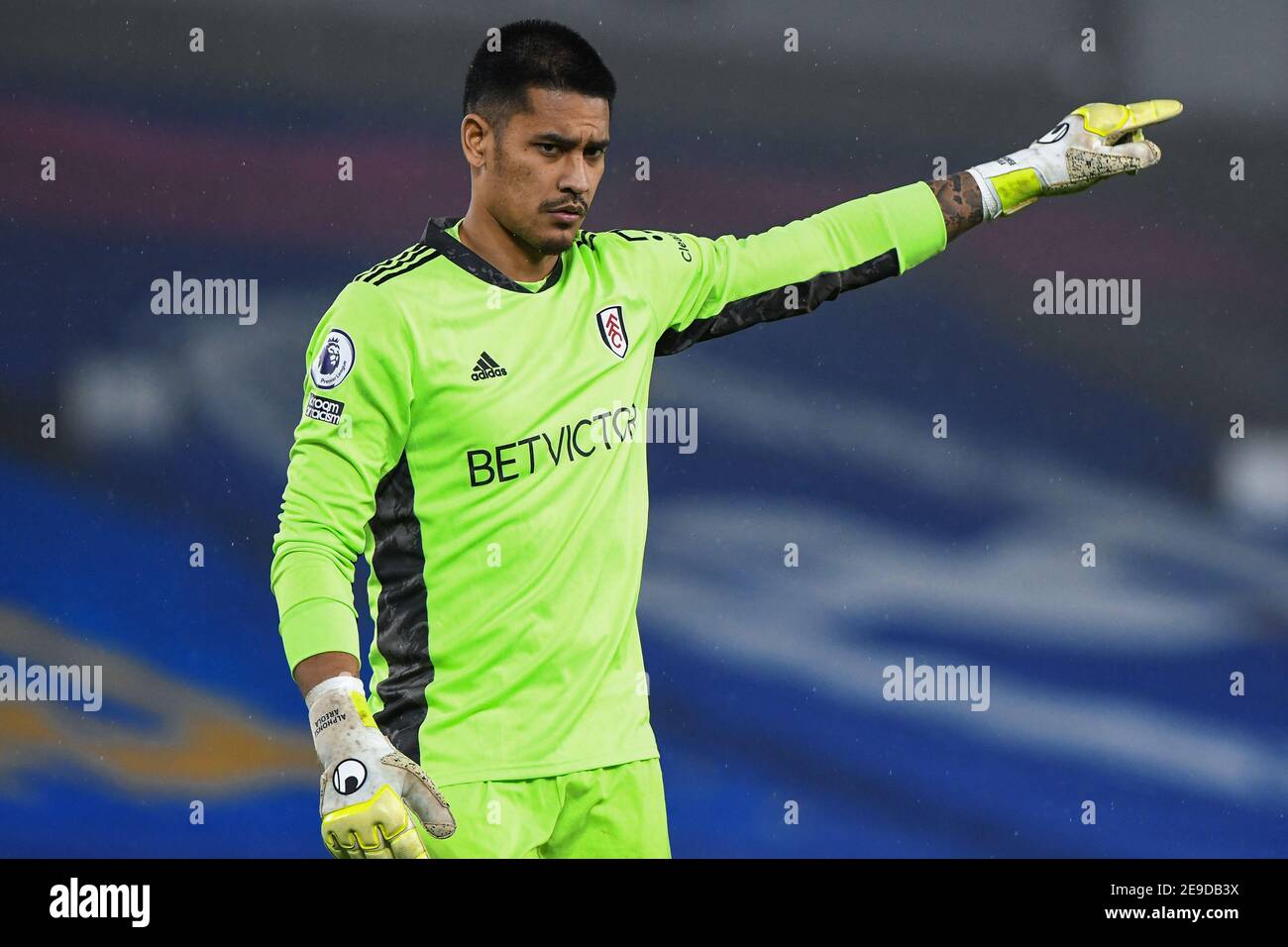 Alphonse v hi-res stock photography and images - Alamy