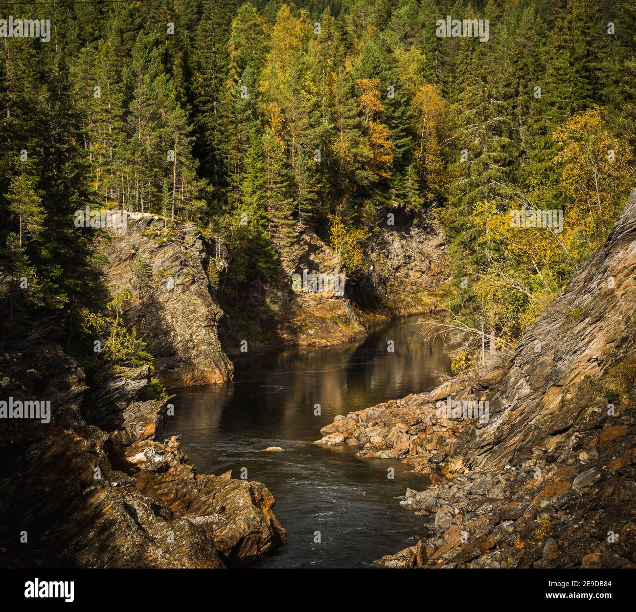 Autumn in Norway. River Gaula andboreal mountain forests. Natural ...