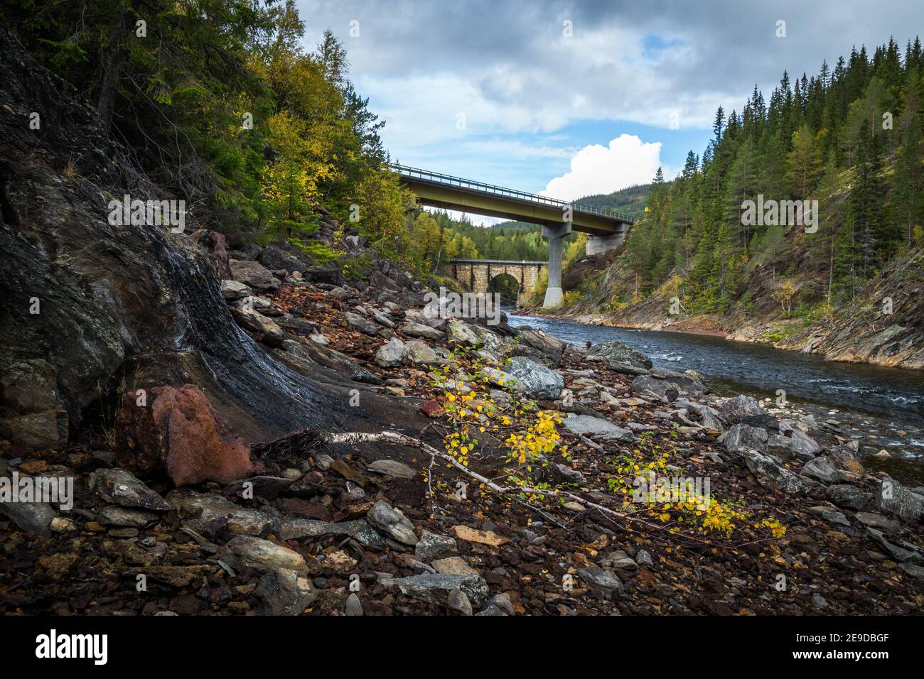 Old and new bridge on Glåma river. Scandinavian mountain forest around ...
