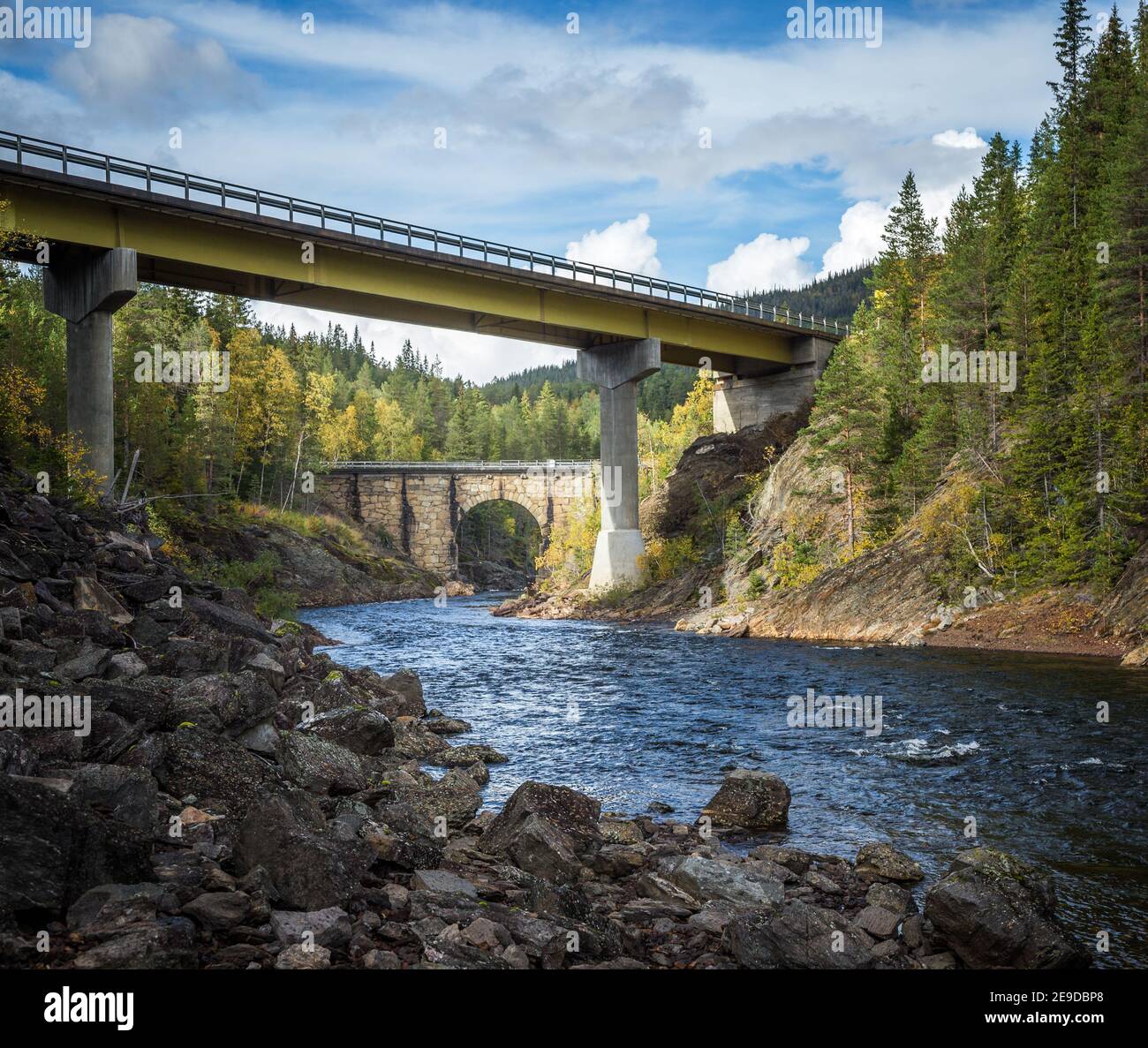 Old and new bridge on Glåma river. Scandinavian mountain forest around ...