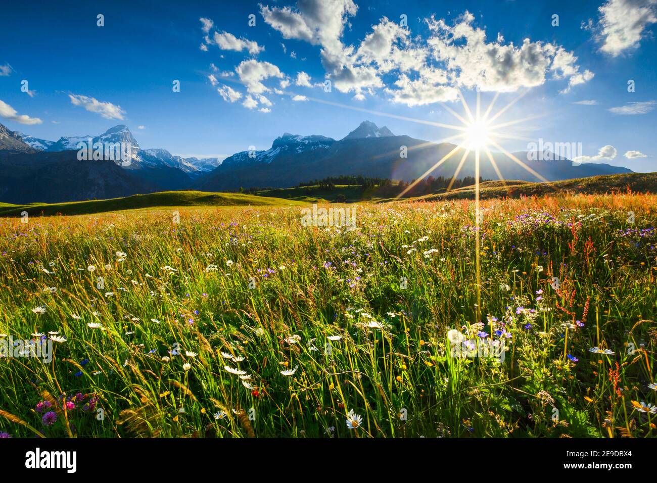 The plains of switzerland hi-res stock photography and images - Alamy