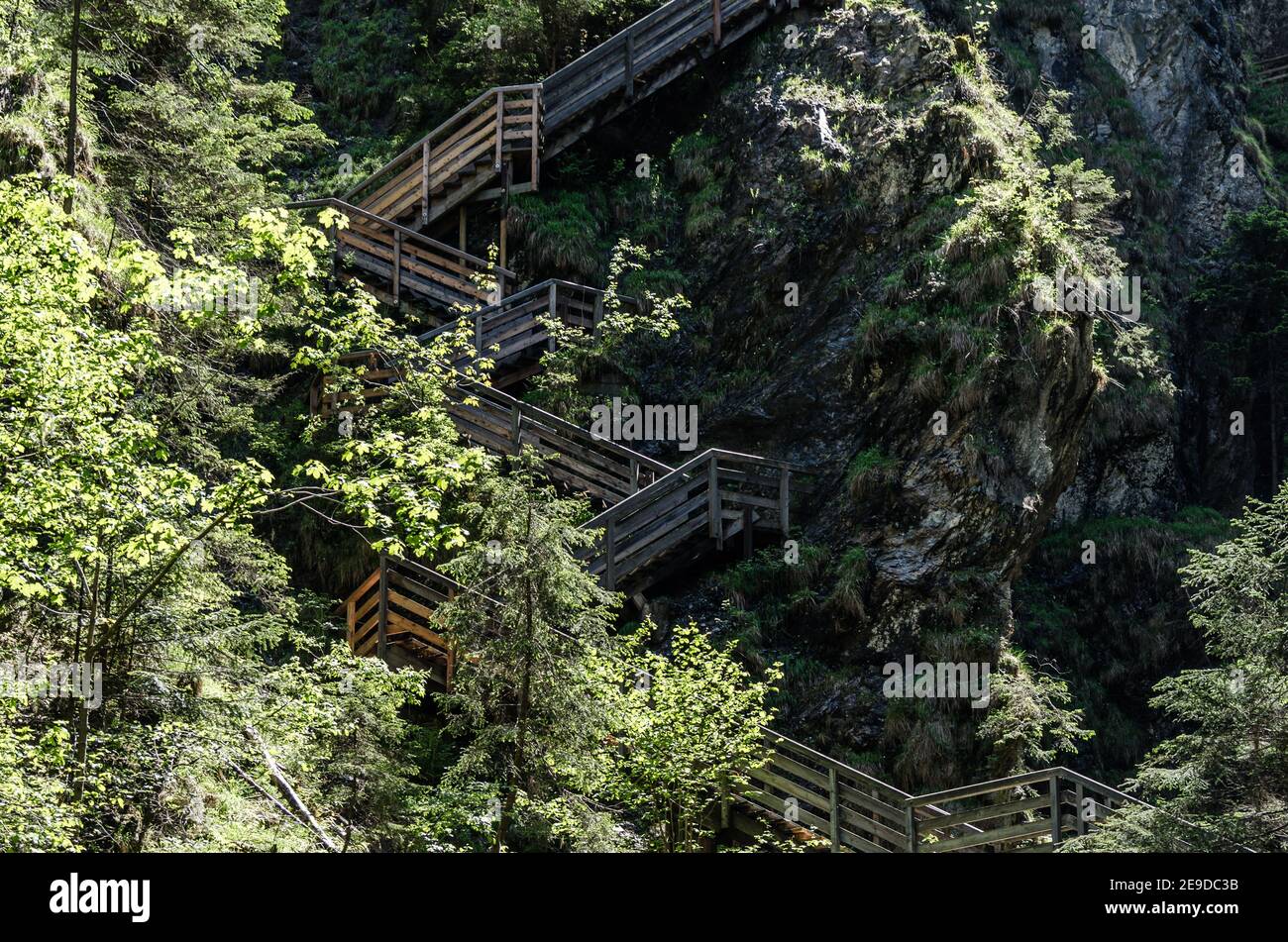 steep way with wooden stairs in a ravine Stock Photo - Alamy