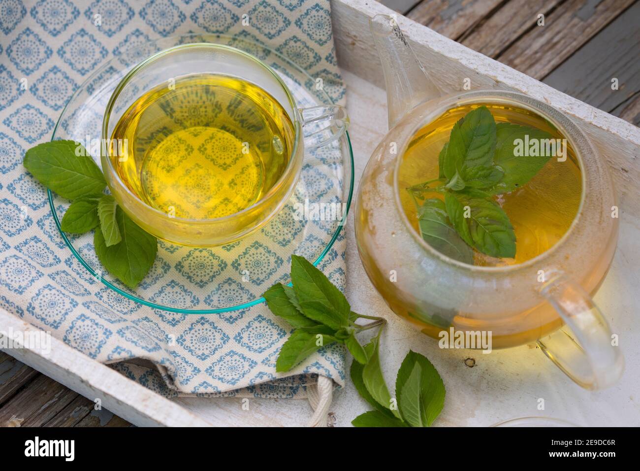 Mint tea plant hi-res stock photography and images - Alamy
