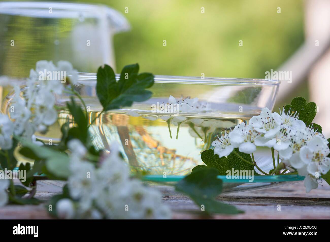 Flower tea hi-res stock photography and images - Alamy