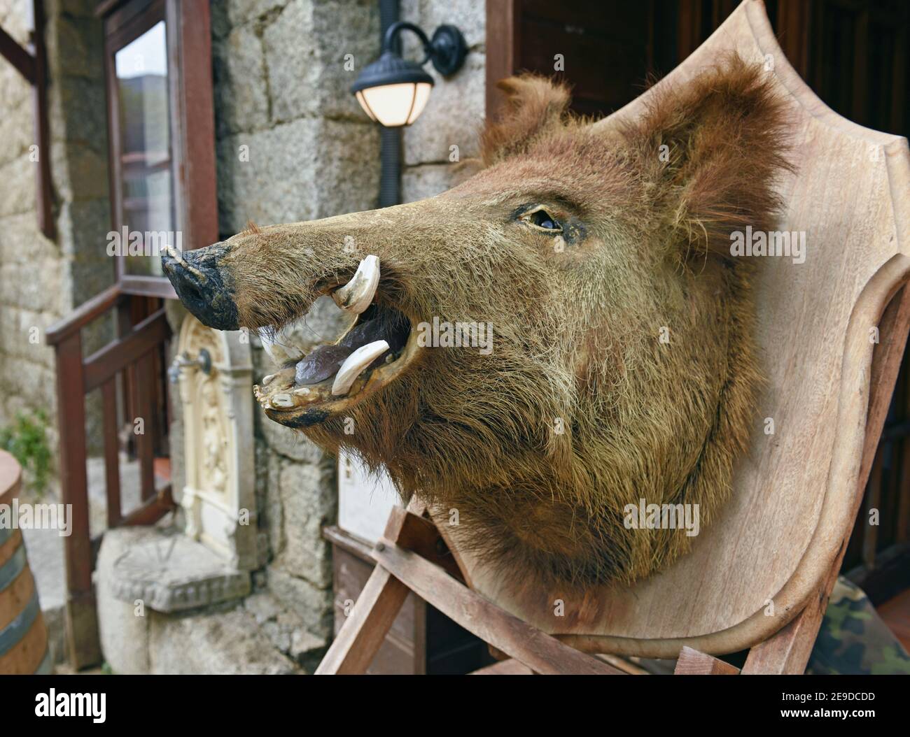 Boars head france hi-res stock photography and images - Alamy