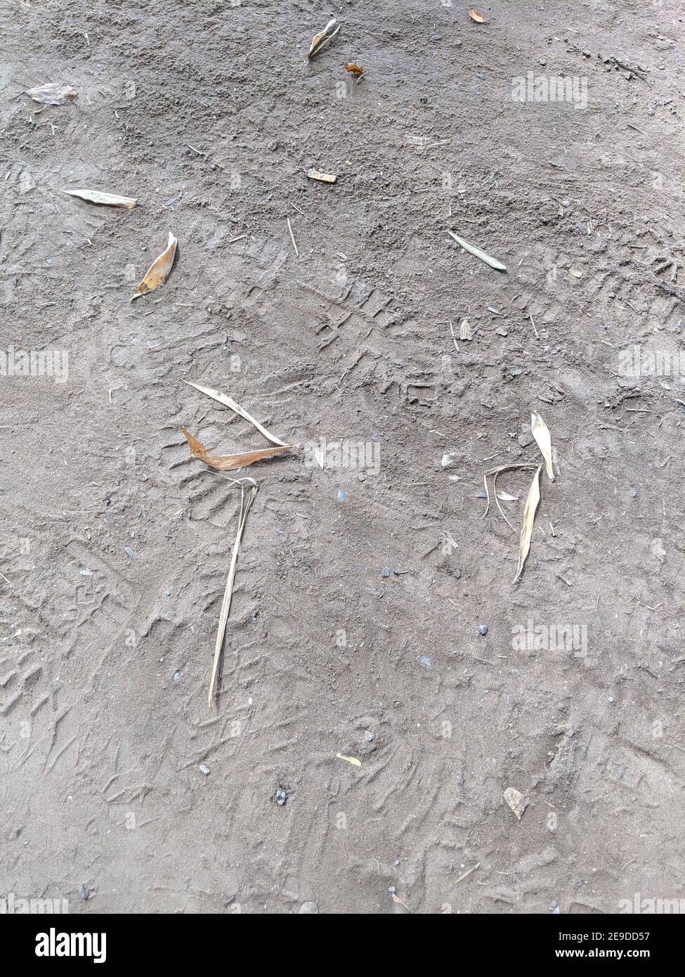 Shoe marks hi-res stock photography and images - Alamy