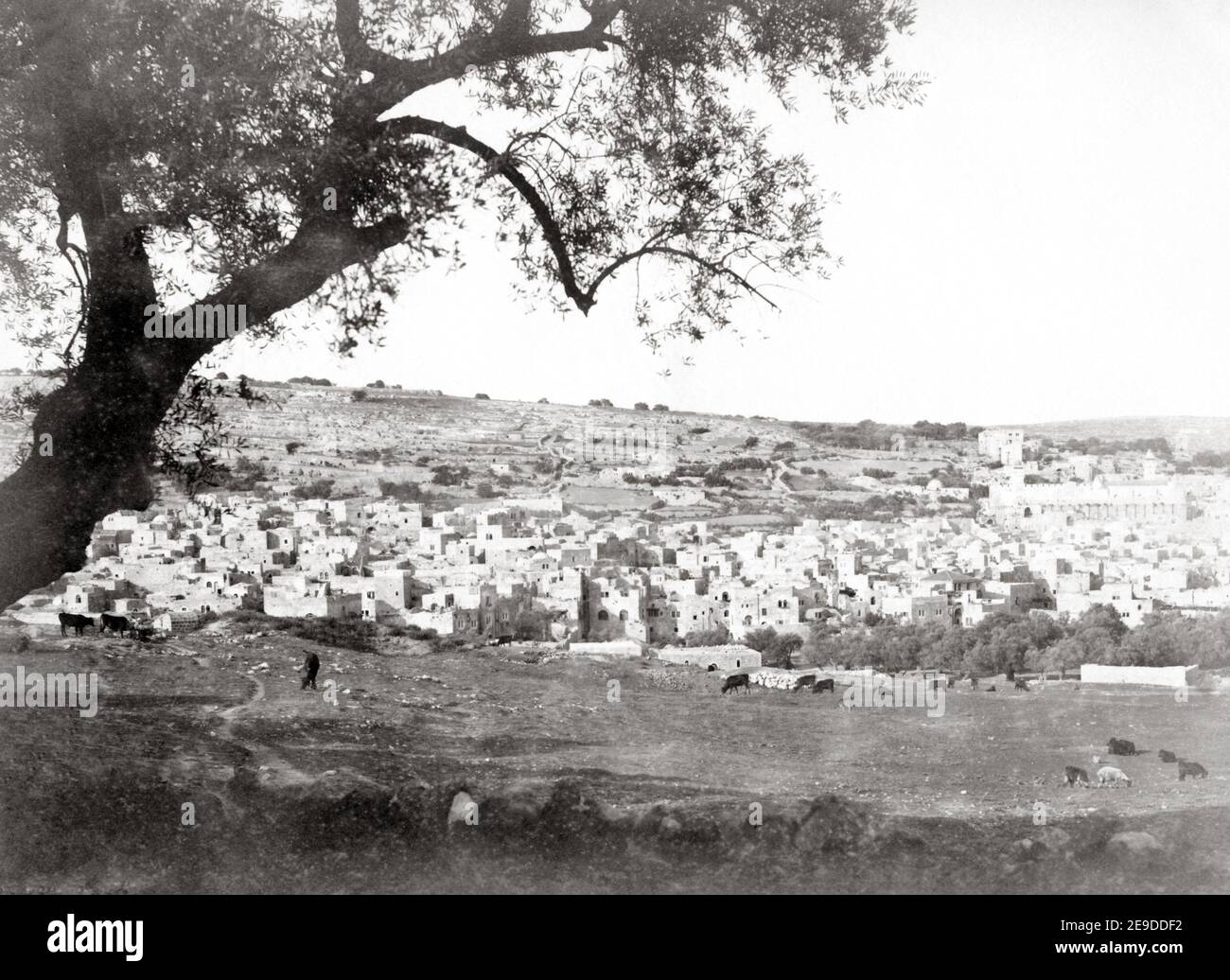 Late 19th century photograph - Overlooking a village, town in Palestine ...