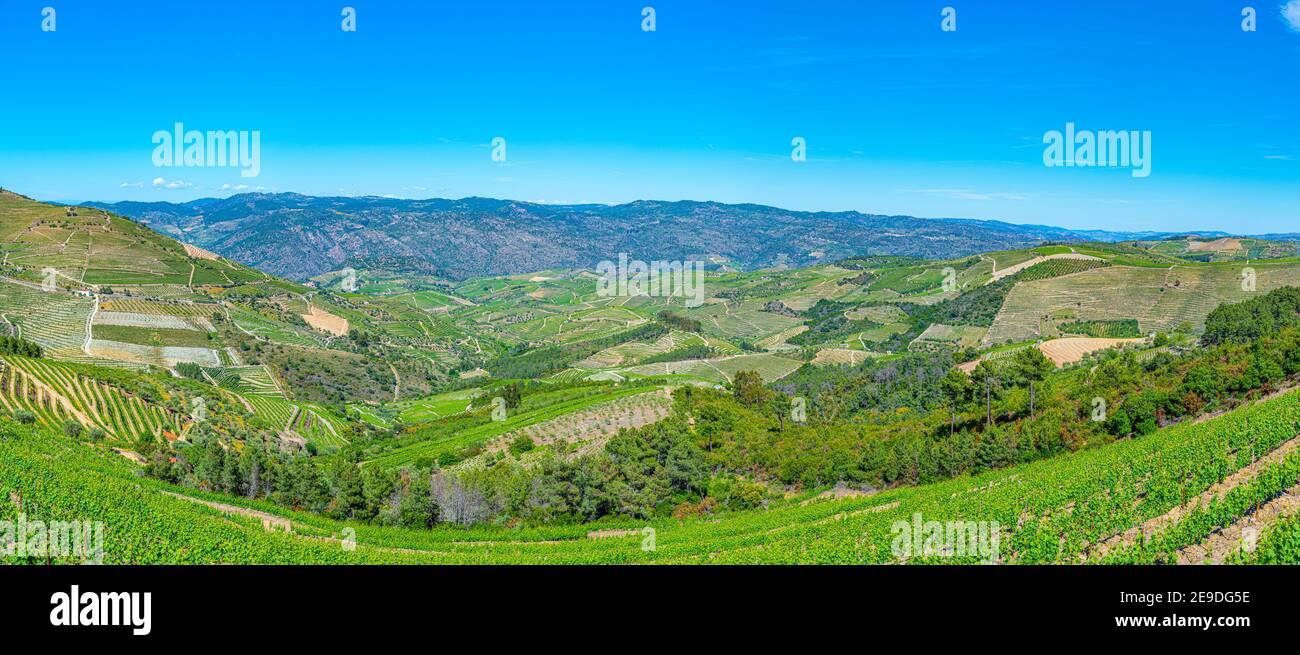 Vineyards and villages at slopes of Douro Valley in Portugal Stock ...