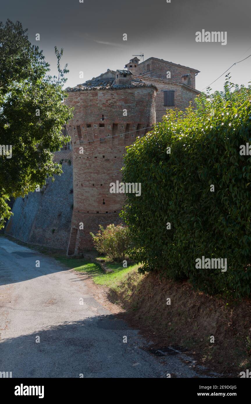 Vertical shot of a tower of an old medieval castle and big bushes next ...