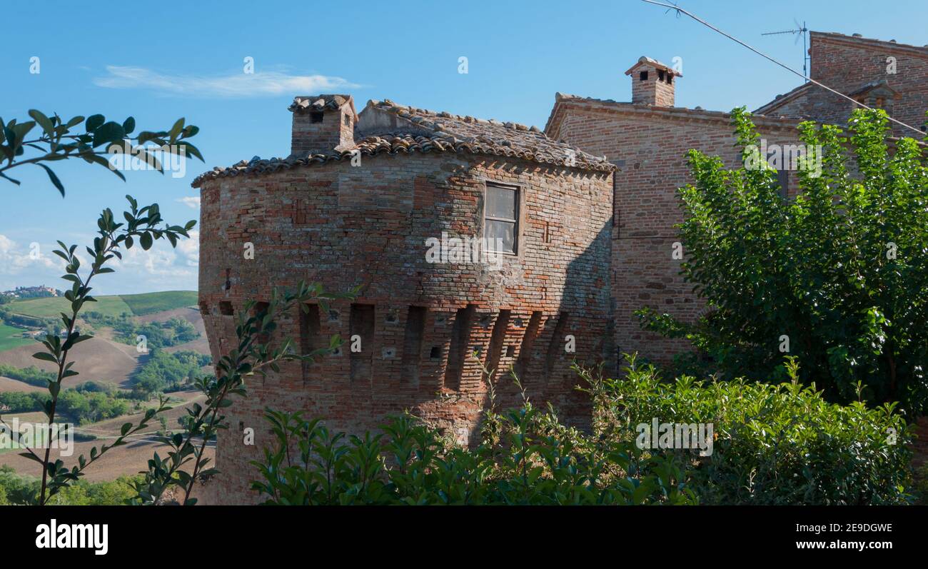 Big tower with a window of an old medieval castle and trees under it ...