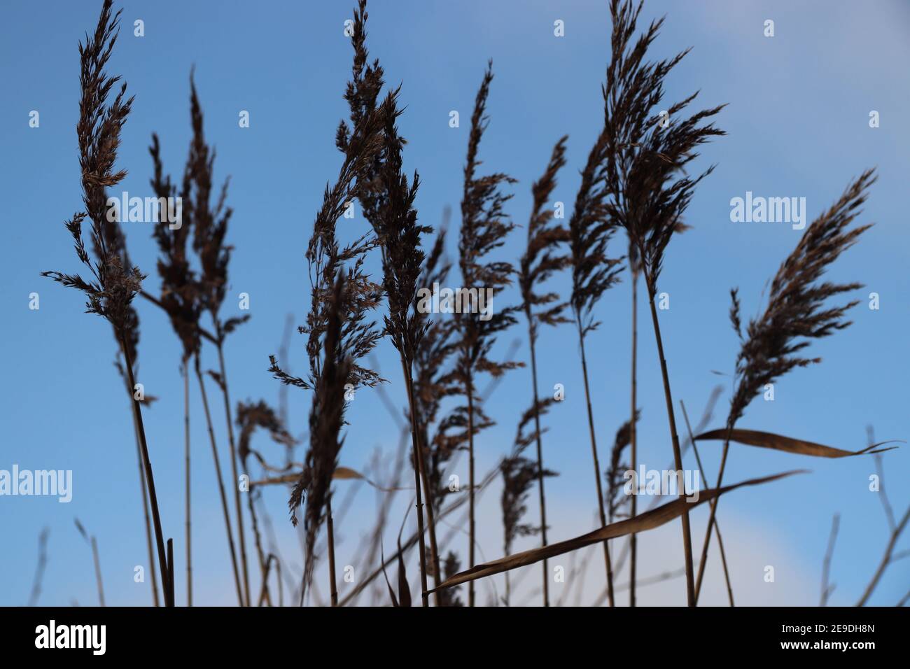 Attractions virgina hi-res stock photography and images - Alamy