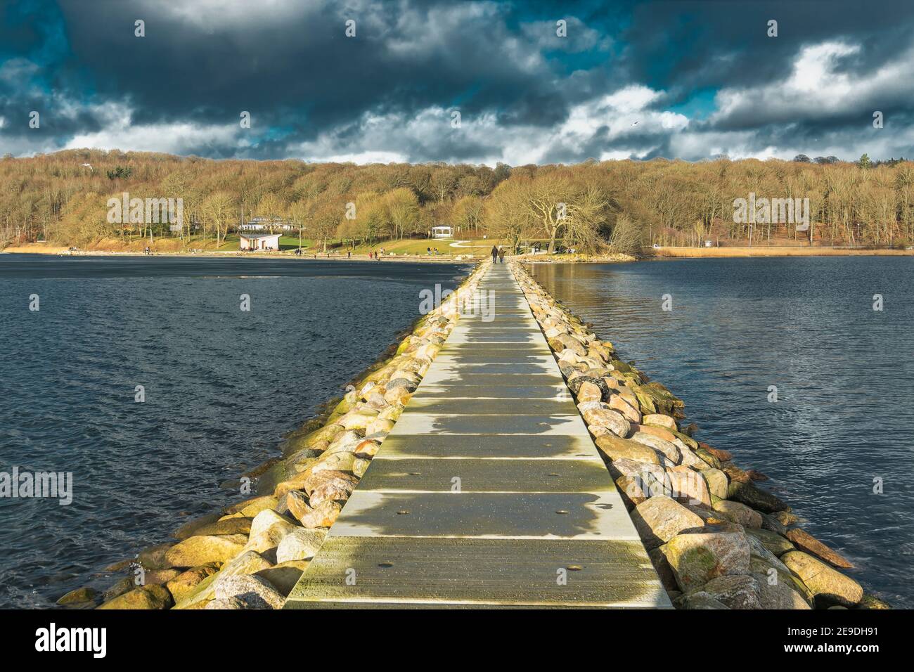 Gulls of denmark hi-res stock photography and images - Alamy