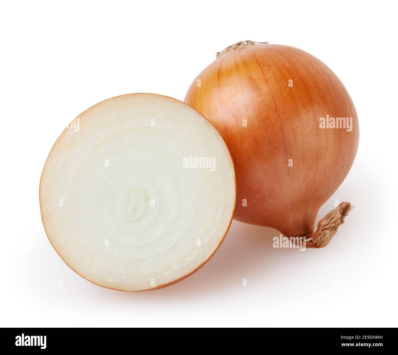 Onion bulbs isolated on white background with clipping path Stock Photo ...