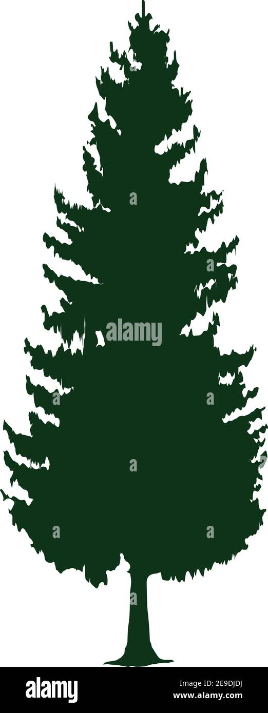 green leafy pine tree silhouette icon vector illustration design Stock ...