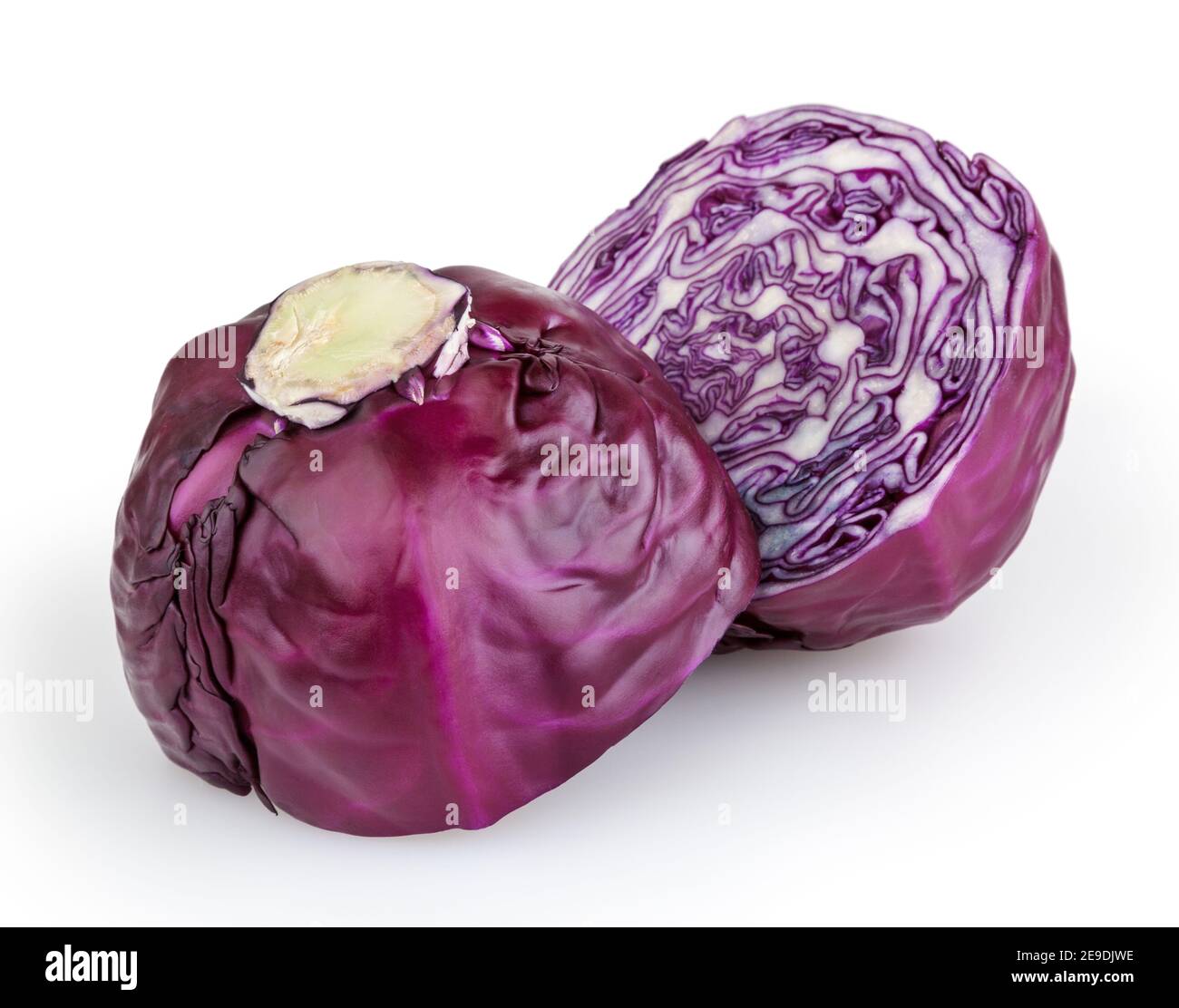 Red cabbage one slice Cut Out Stock Images & Pictures - Alamy