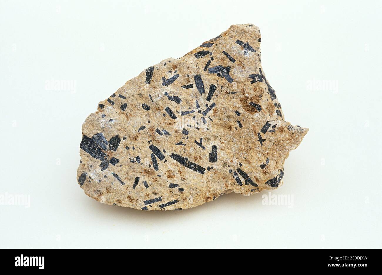 Porphyritic Andesite