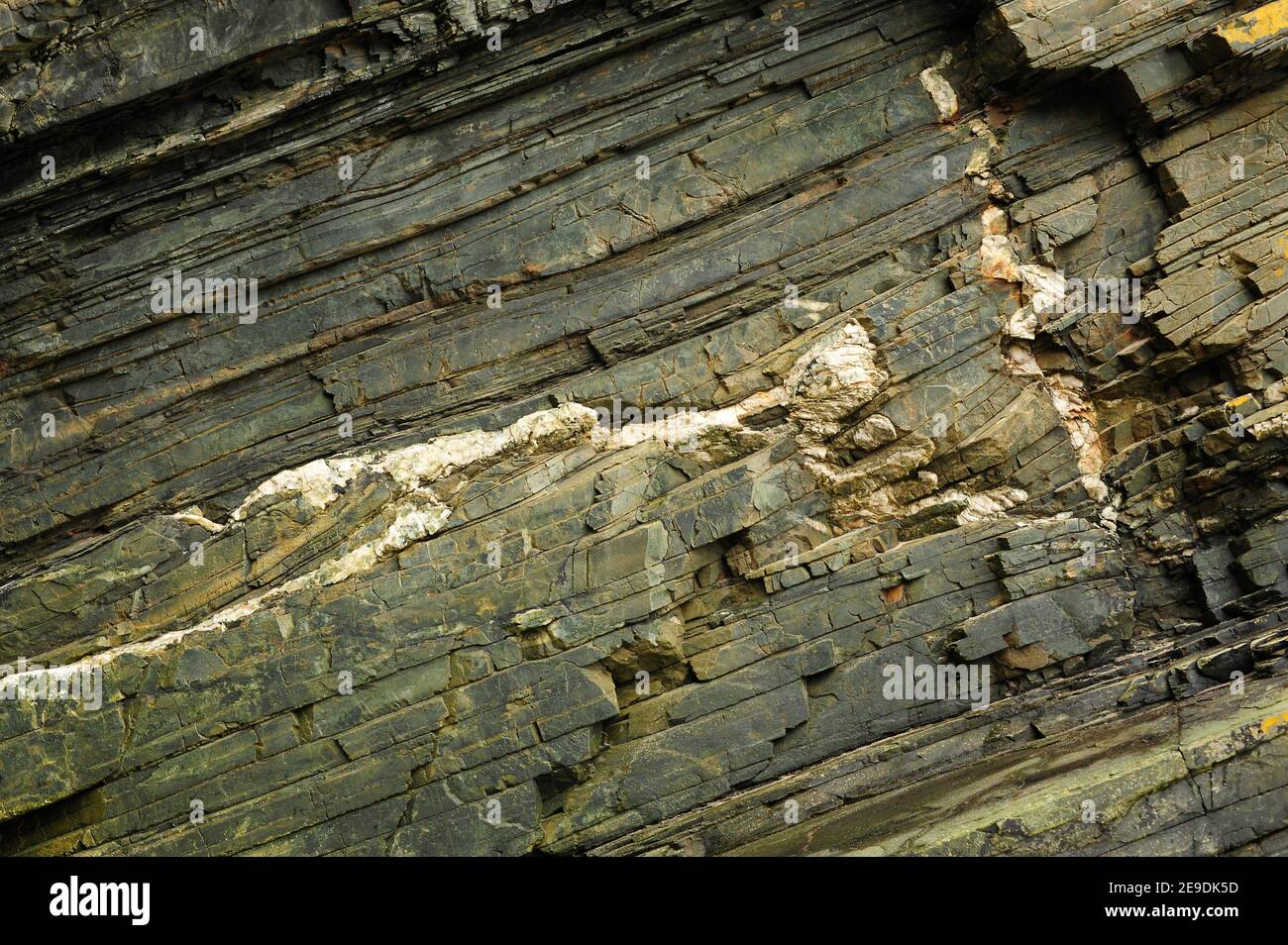 Vein of quartz in sandstone or shale hi-res stock photography and ...