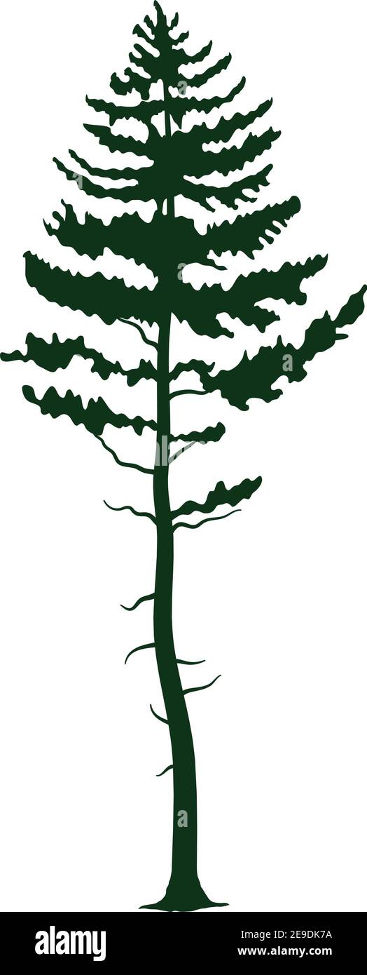 green pine tree silhouette icon vector illustration design Stock Vector ...