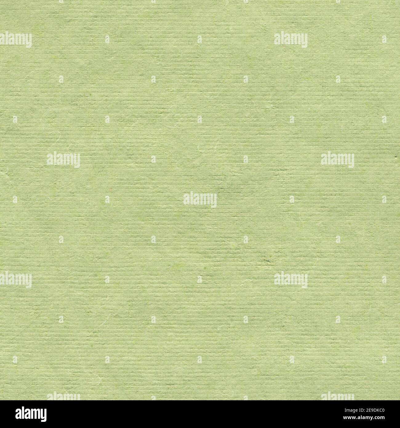 Light green paper background Stock Photo - Alamy