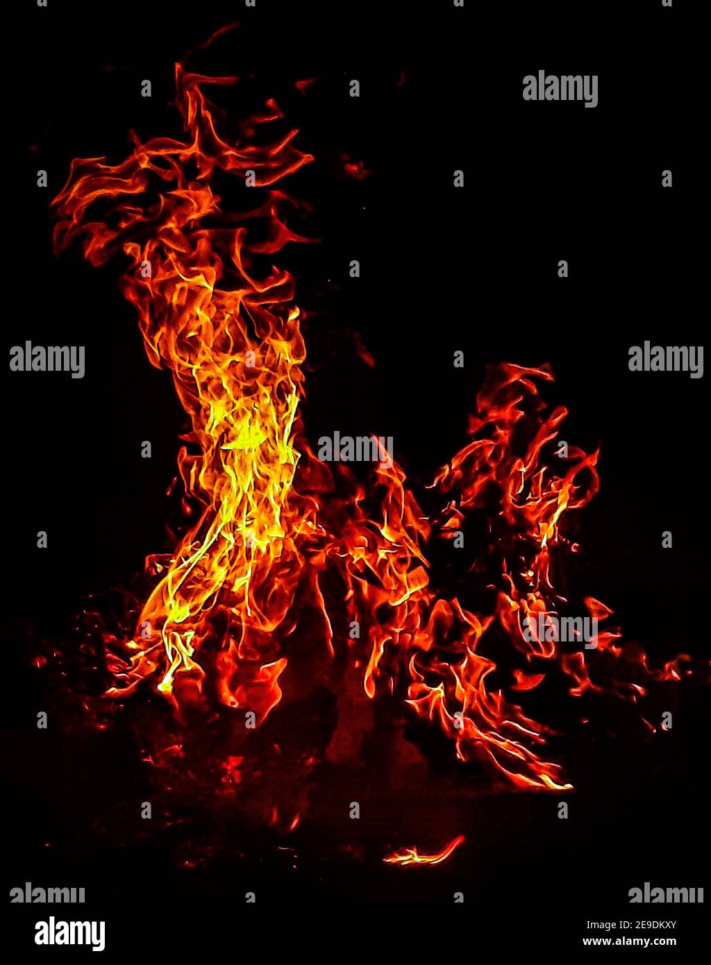 Vertical closeup of the flames of a campfire glowing in the darkness ...