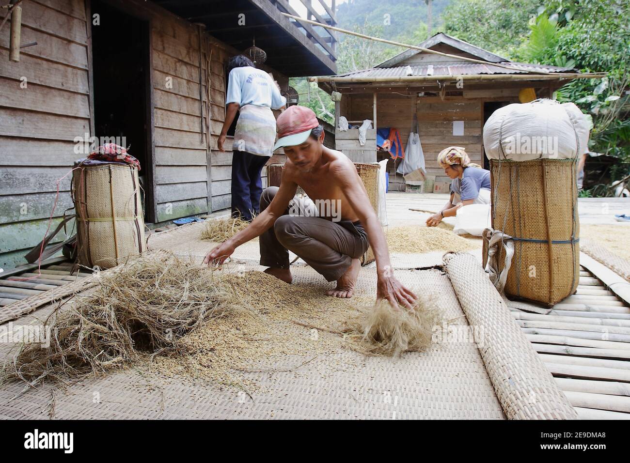Group picture of the harvester hi-res stock photography and images - Alamy