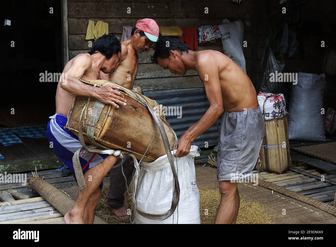 Combine harvester working a rice field hi-res stock photography and ...