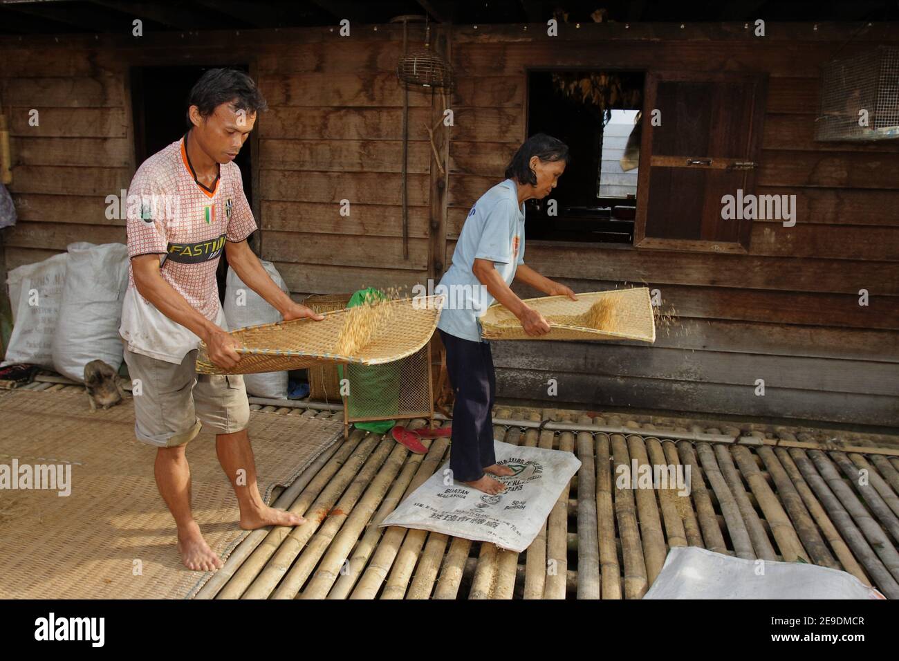 Combine harvester working a rice field hi-res stock photography and ...