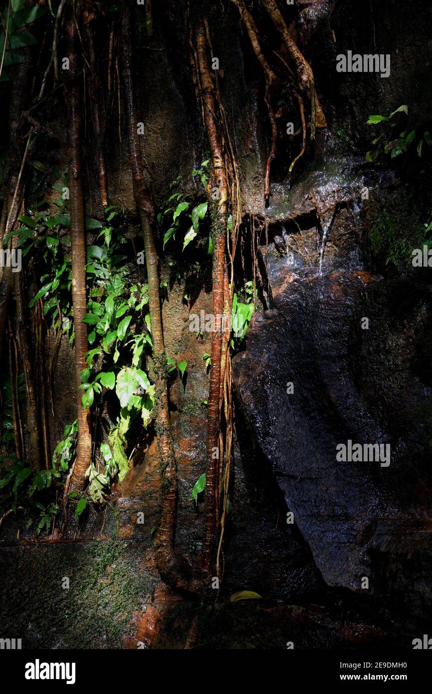 Contemporary nature art hi-res stock photography and images - Alamy