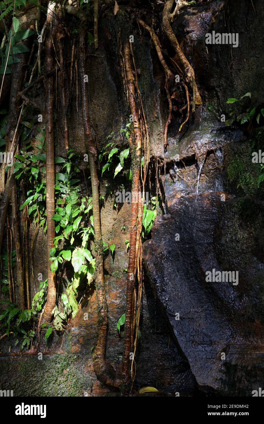 Contemporary nature art hi-res stock photography and images - Alamy