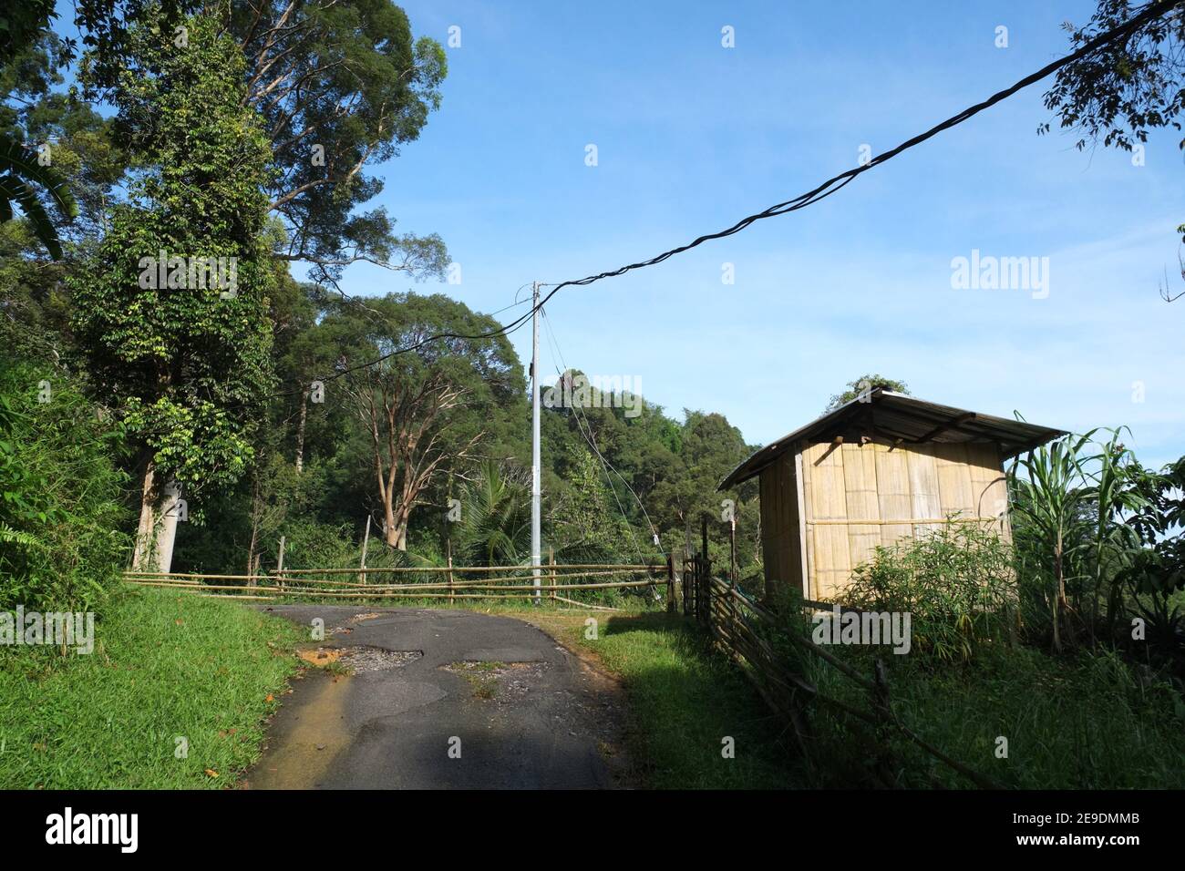 Malaysia road village hi-res stock photography and images - Alamy
