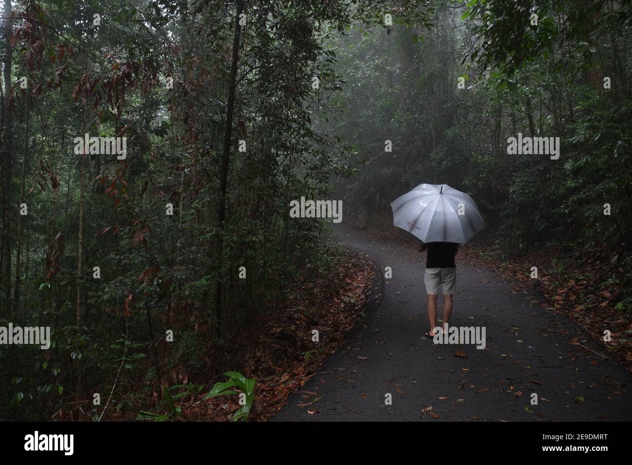 Tourism no one has nature outdoors hi-res stock photography and images ...