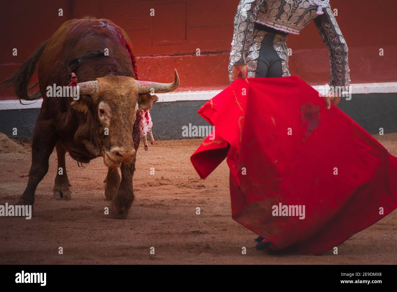 Bull fighter portrait hi-res stock photography and images - Alamy
