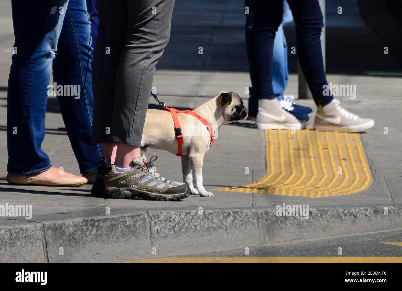 Human waiting hi-res stock photography and images - Alamy