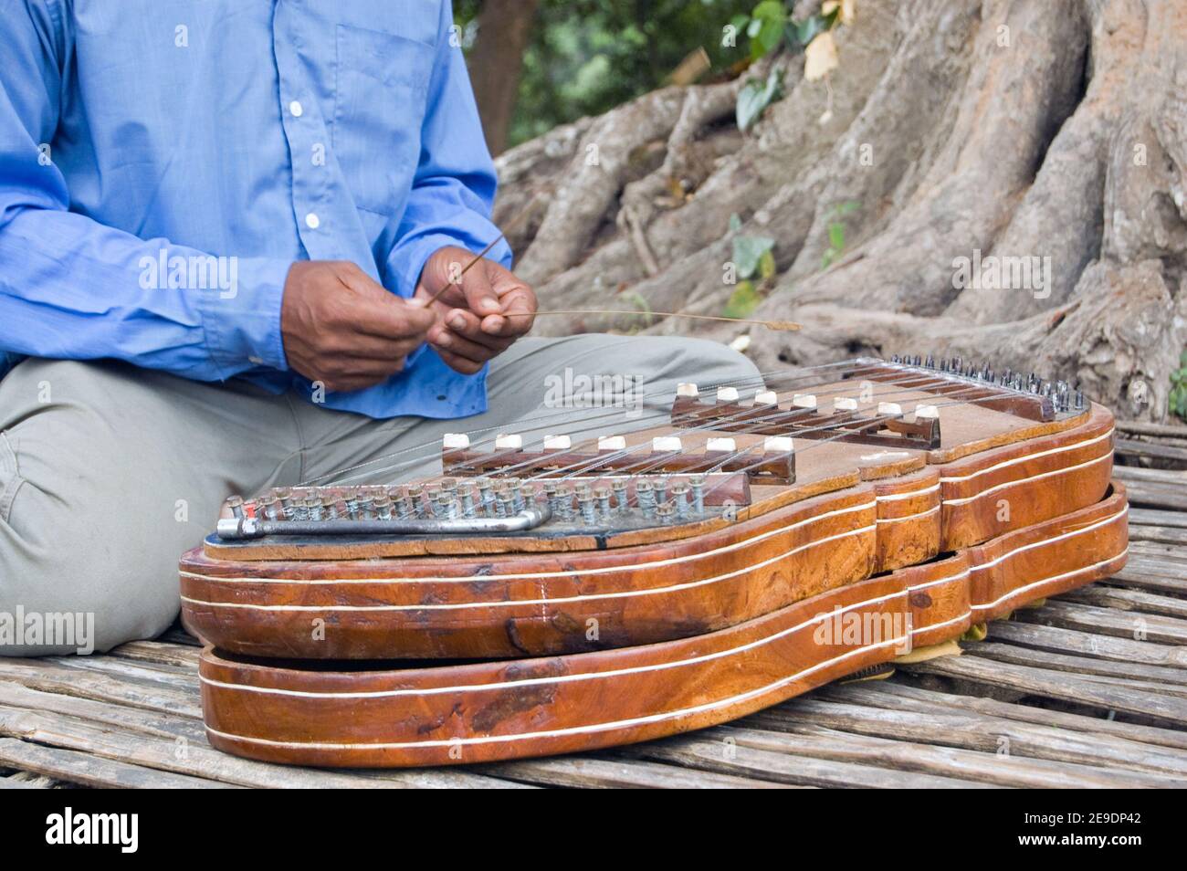 Close-up of a Cambodian musician playing a traditional khim musical instrument. A hammered ...