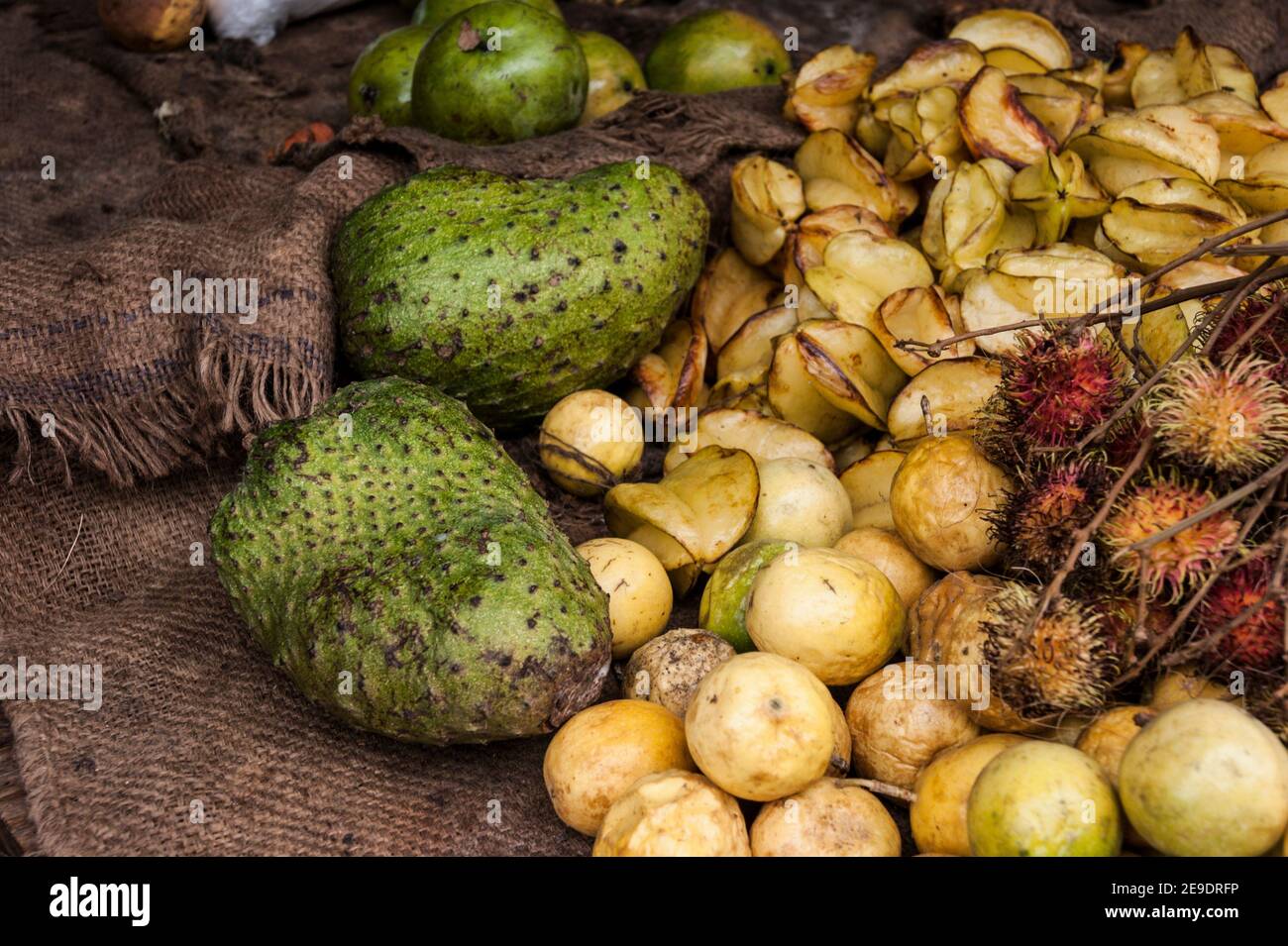 Annona muricata hi-res stock photography and images - Alamy