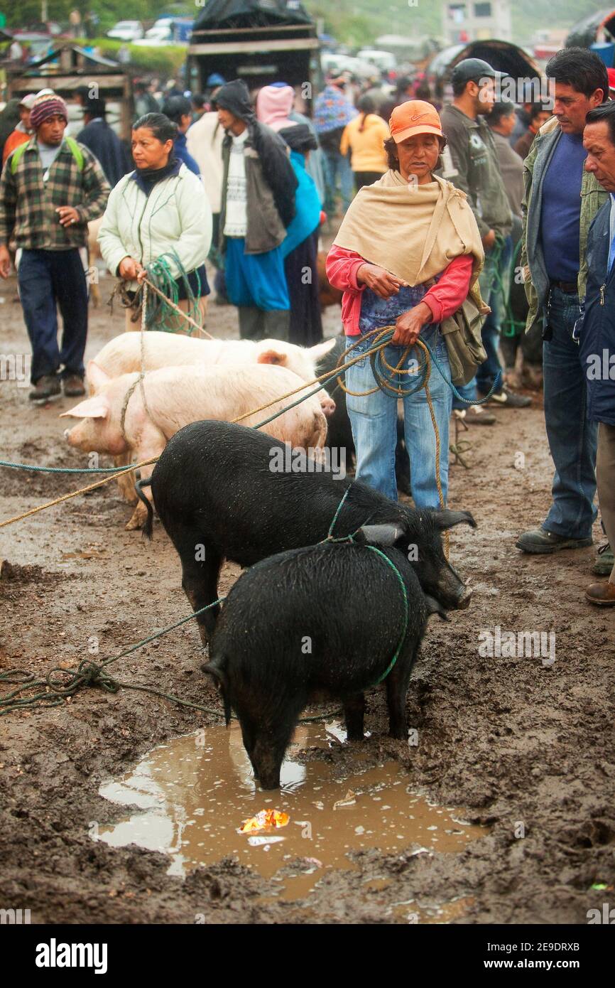 Local market area hi-res stock photography and images - Alamy