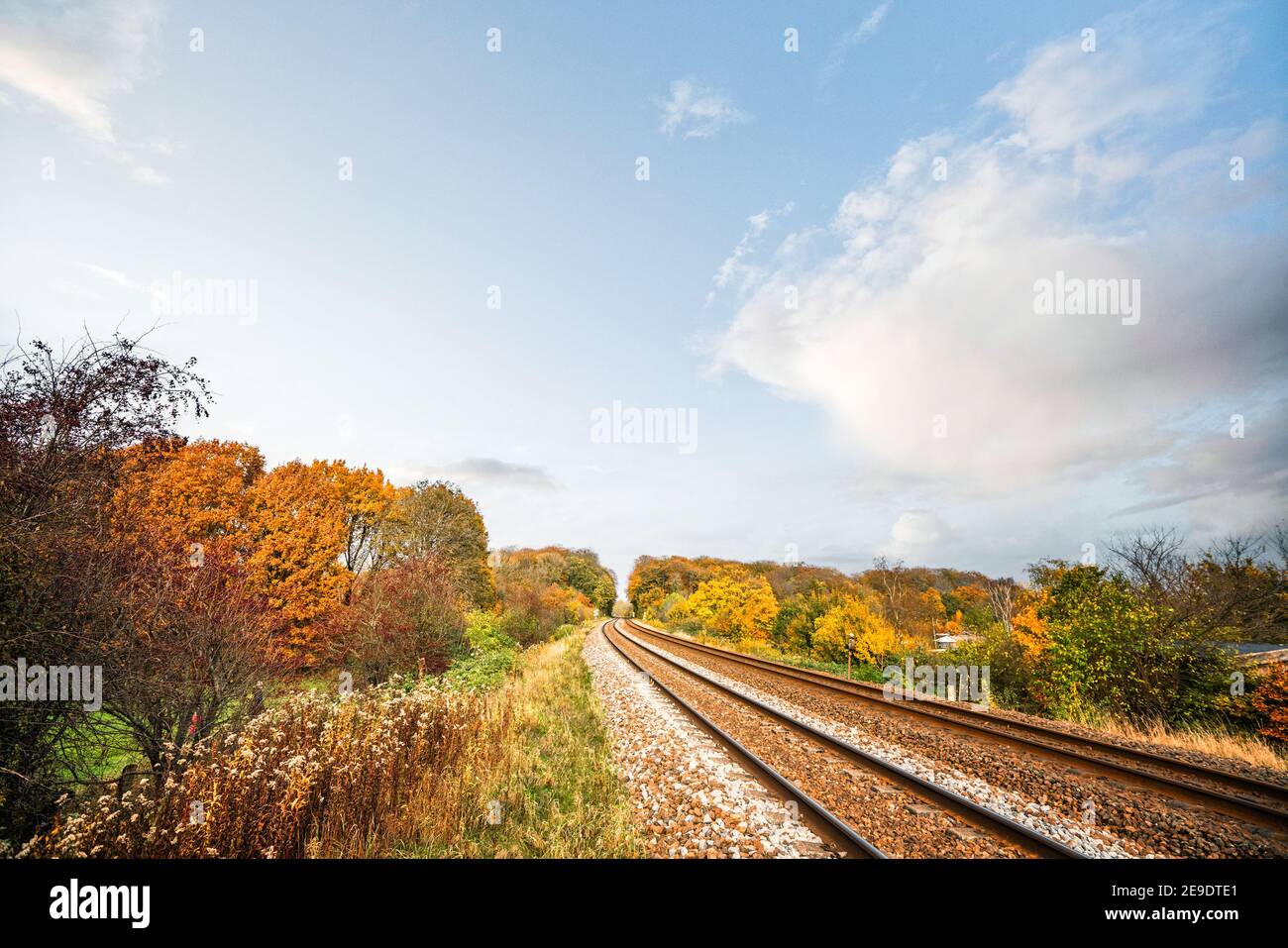 Fall leaves on railroad tracks hi-res stock photography and images - Alamy