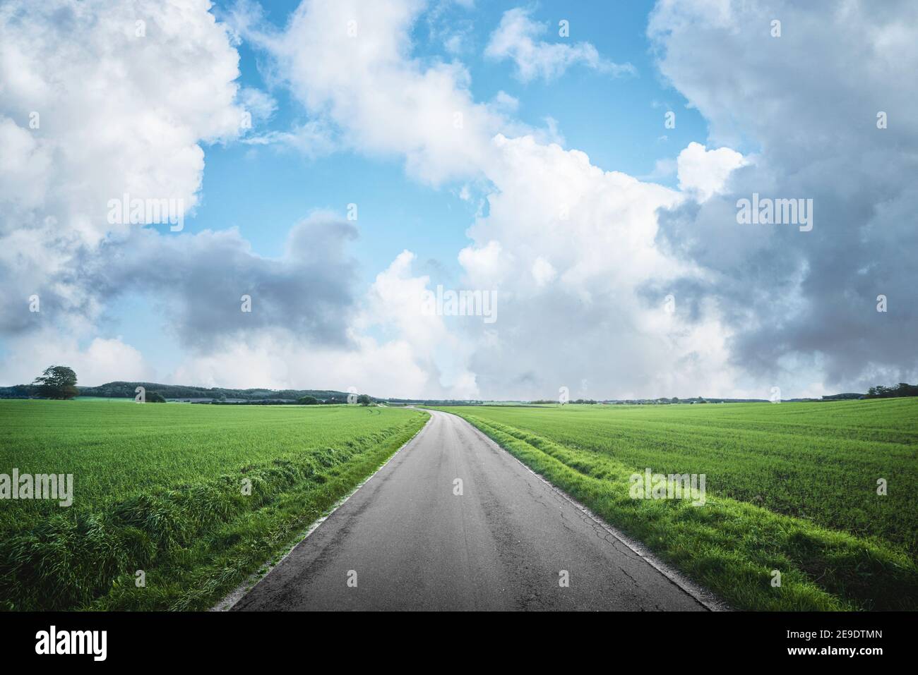 Asphalt road in a rural countryside landscape with green fields and ...
